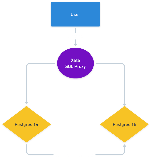 Postgres major version upgrades with minimal downtime | xata